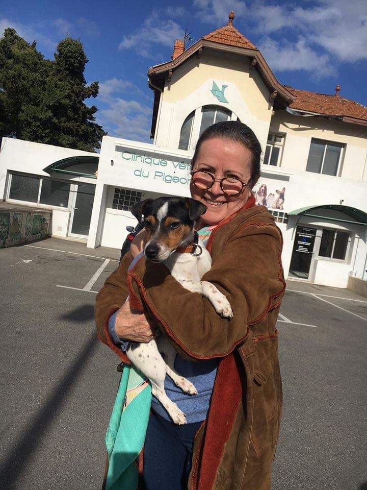 ELIA, Jack Russell F, 7 mois adoptée février 2020 – Les Ptits Coeurs