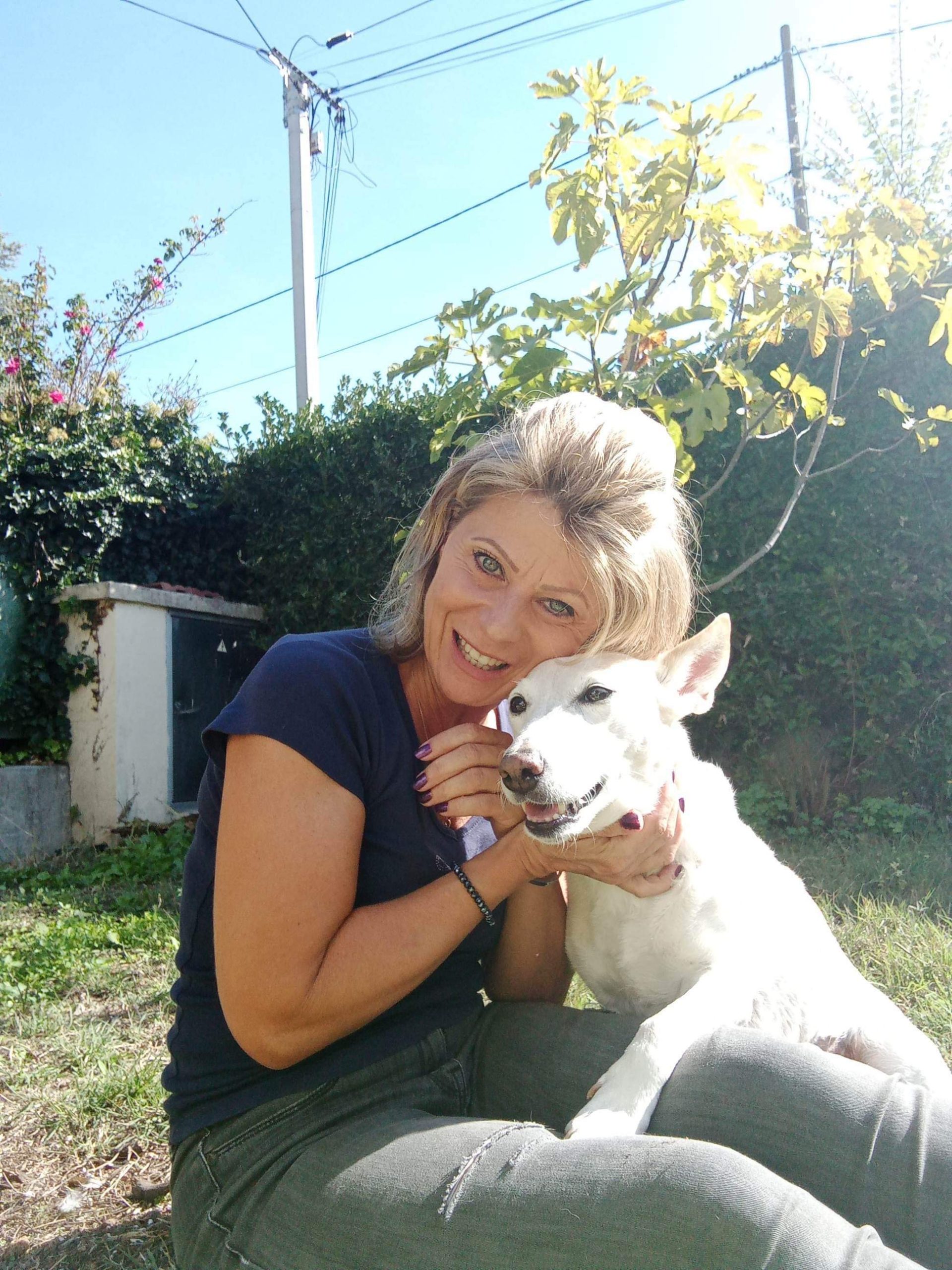 MAYA, x Corgi F, 3 ans adoptée octobre 2021 – Les Ptits Coeurs