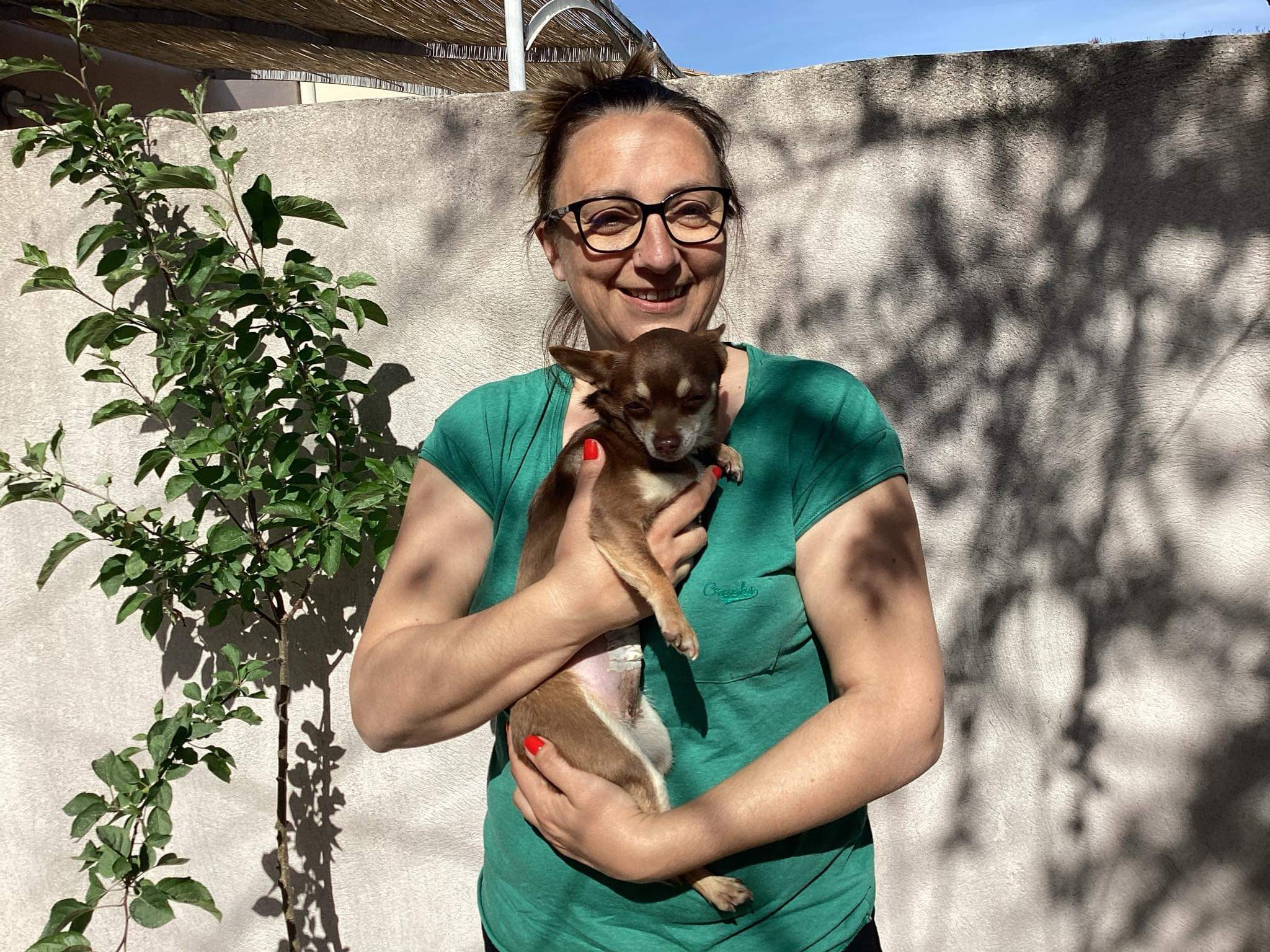 CHOCO, Chihuahua F, 6 ans adoptée avril 2024 – Les Ptits Coeurs