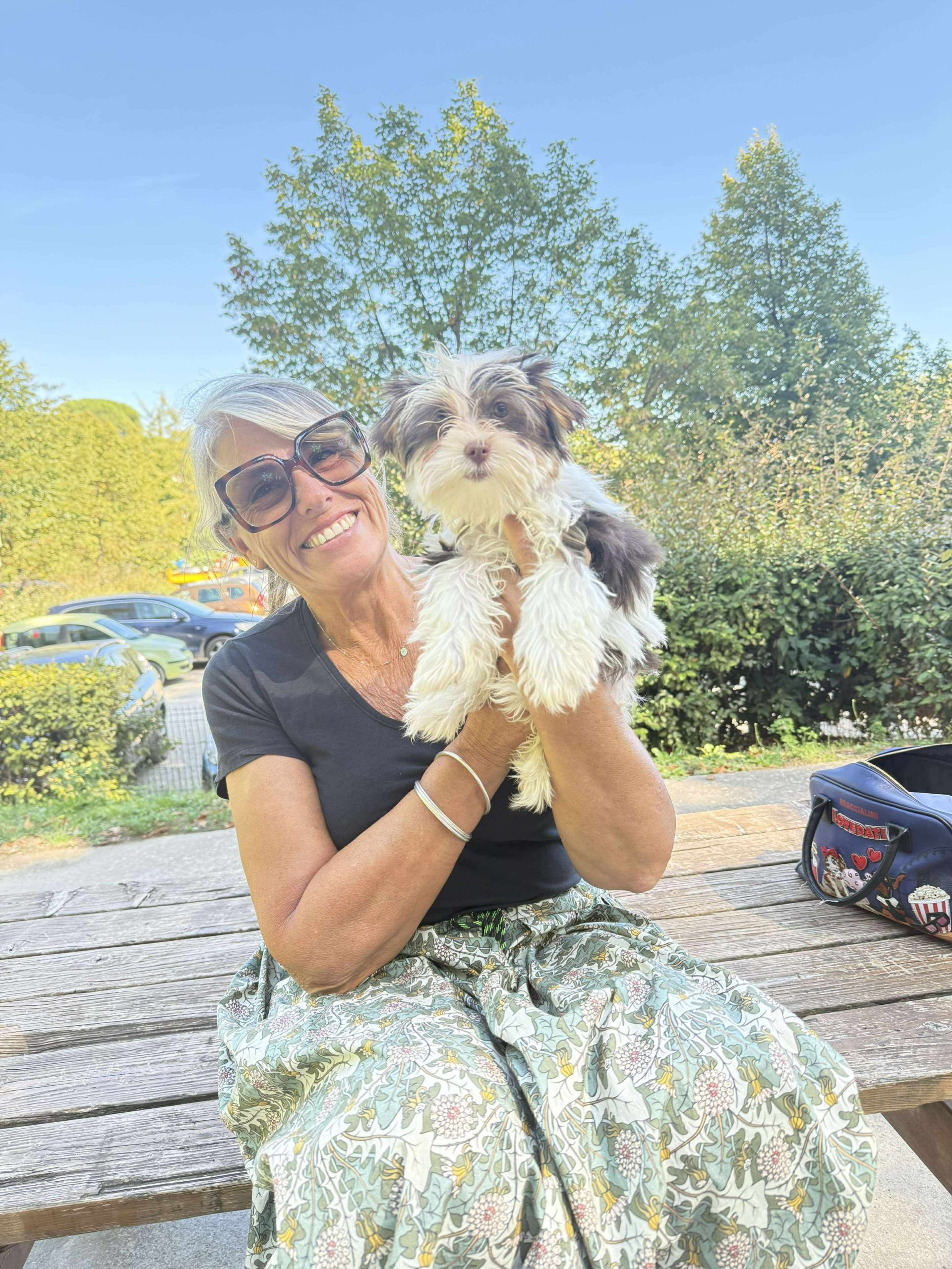 BICHOCO, York F, 3 mois adopté septembre 2025 – Les Ptits Coeurs